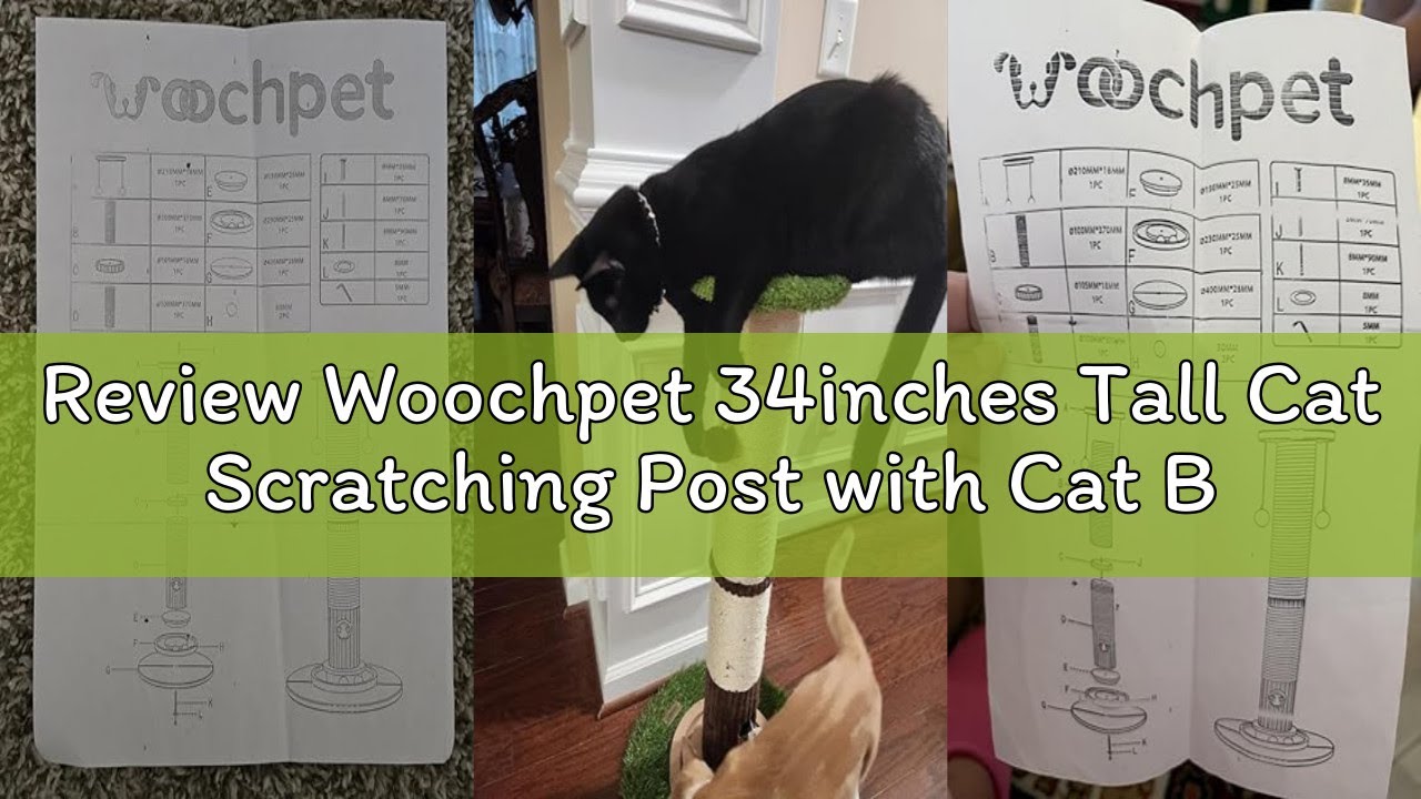 Review Woochpet 34inches Tall Cat Scratching Post with Cat Ball Track Toy Heavy Duty and Thicker Lar