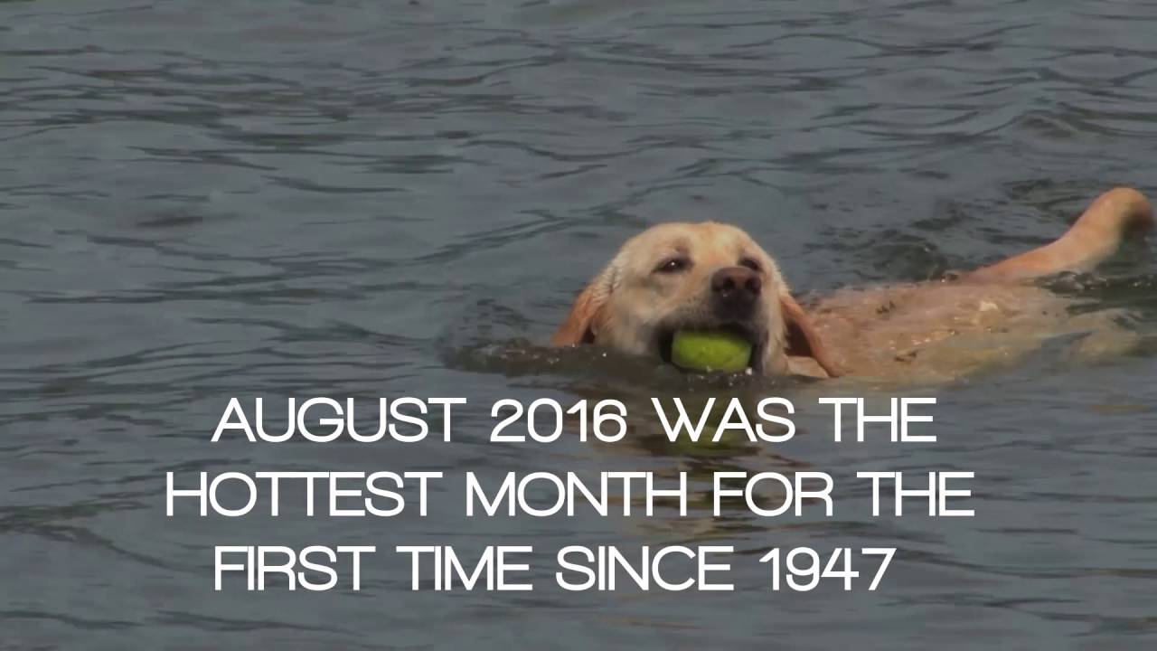 How hot was the summer of 2016? 6 Cleveland climate highlights