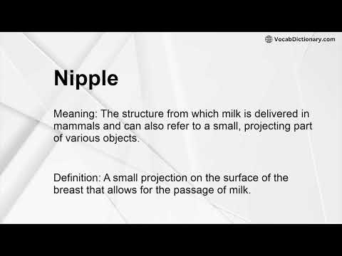 Nipple Meaning