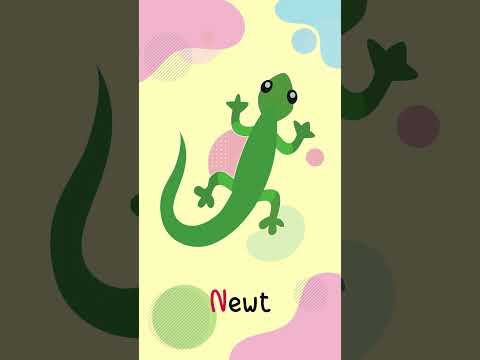 Let's write "N, "n", and animals' names that begin with "N" (New and Improved) #lettersound