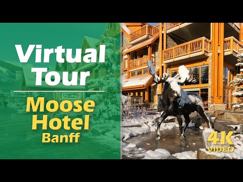 Moose Hotel in Banff Alberta Canada (VIRTUAL TOUR)