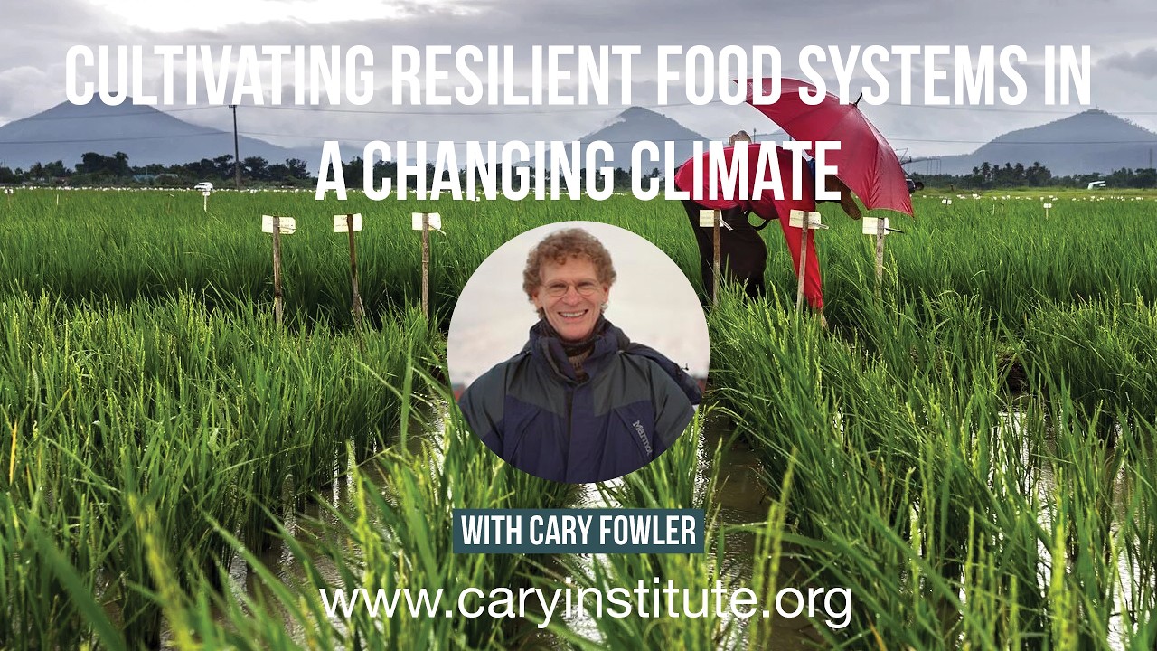 Cultivating Resilient Food Systems in a Changing Climate