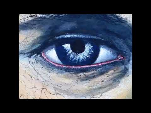 The Eyes of Ulysses S. Grant