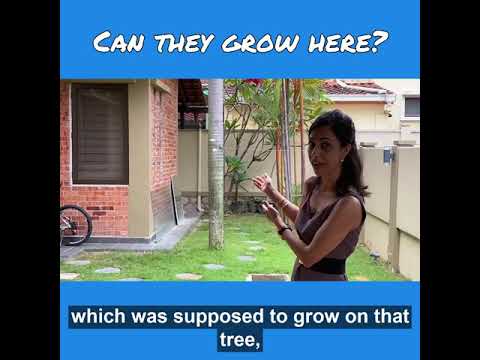Where do parasites grow? What is a leaders role in growth of an employee?