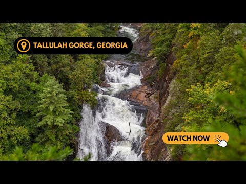 Check Out These Old Photos Of Georgia