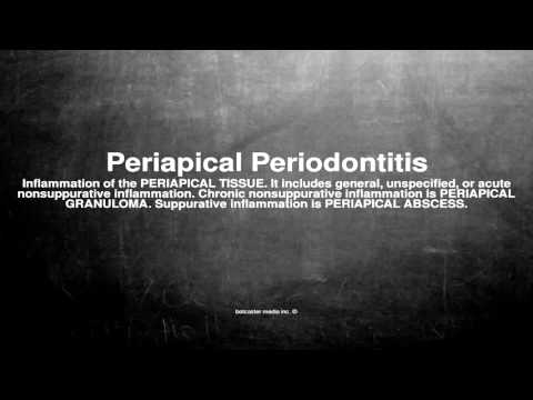 Medical vocabulary: What does Periapical Periodontitis mean