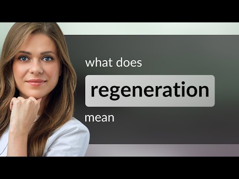 Regeneration — meaning of REGENERATION
