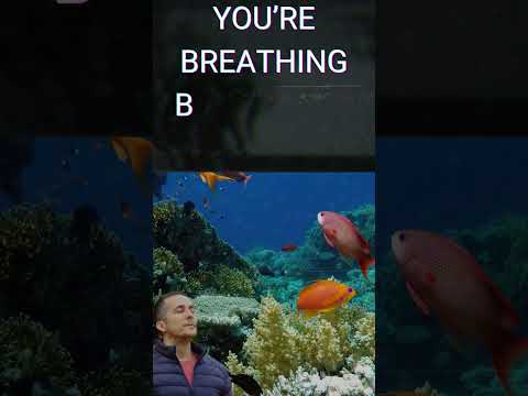 MOST OF YOUR OXYGEN DOESNβT COME FROM TREES