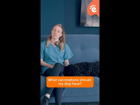 Dr. Anna talks on Essential Dog Vaccinations