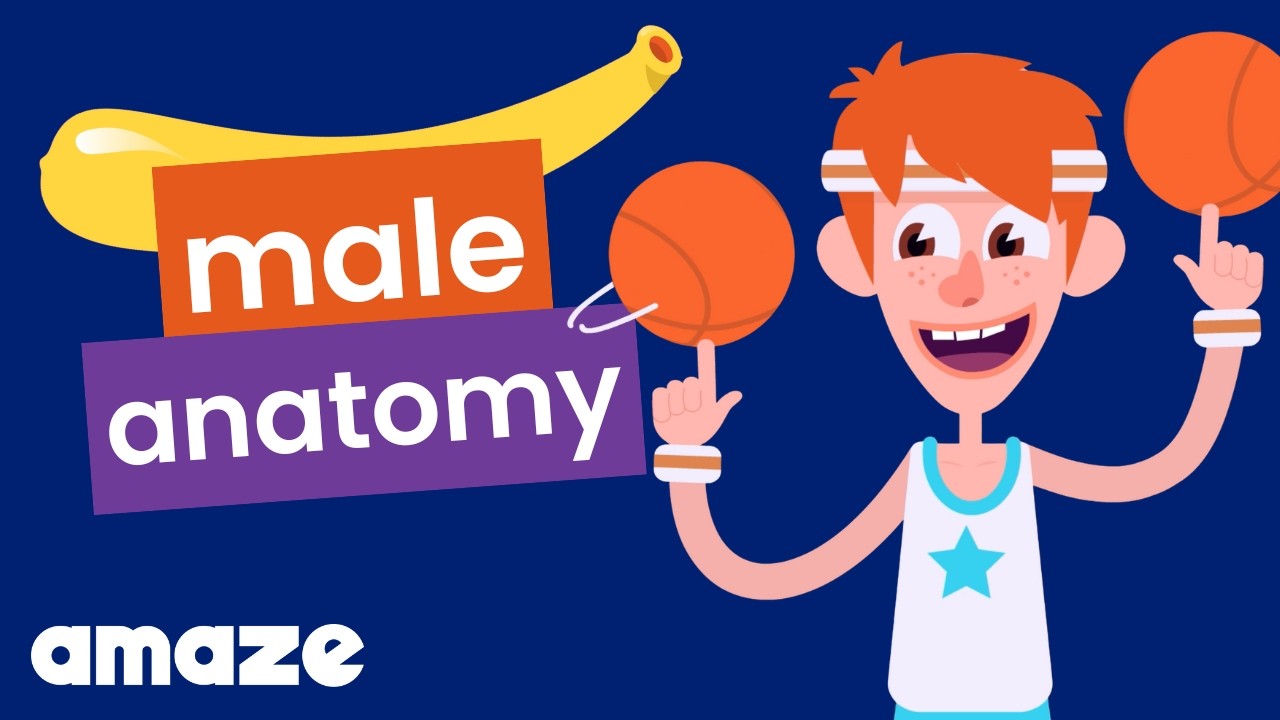 Anatomy of Male Bodies