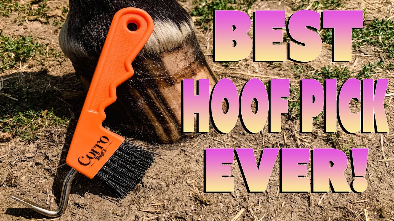 Is This The Best Hoof Pick For Horses? See What You Think!