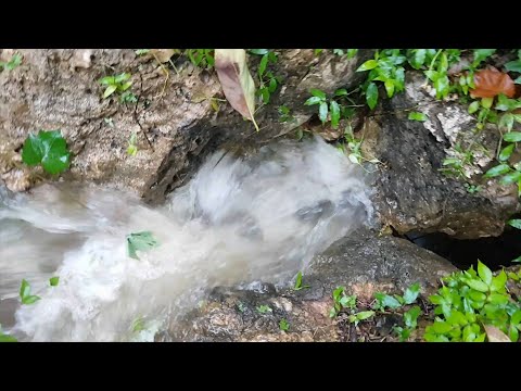 Dissolution Sinkhole (or Solution Sinkhole)