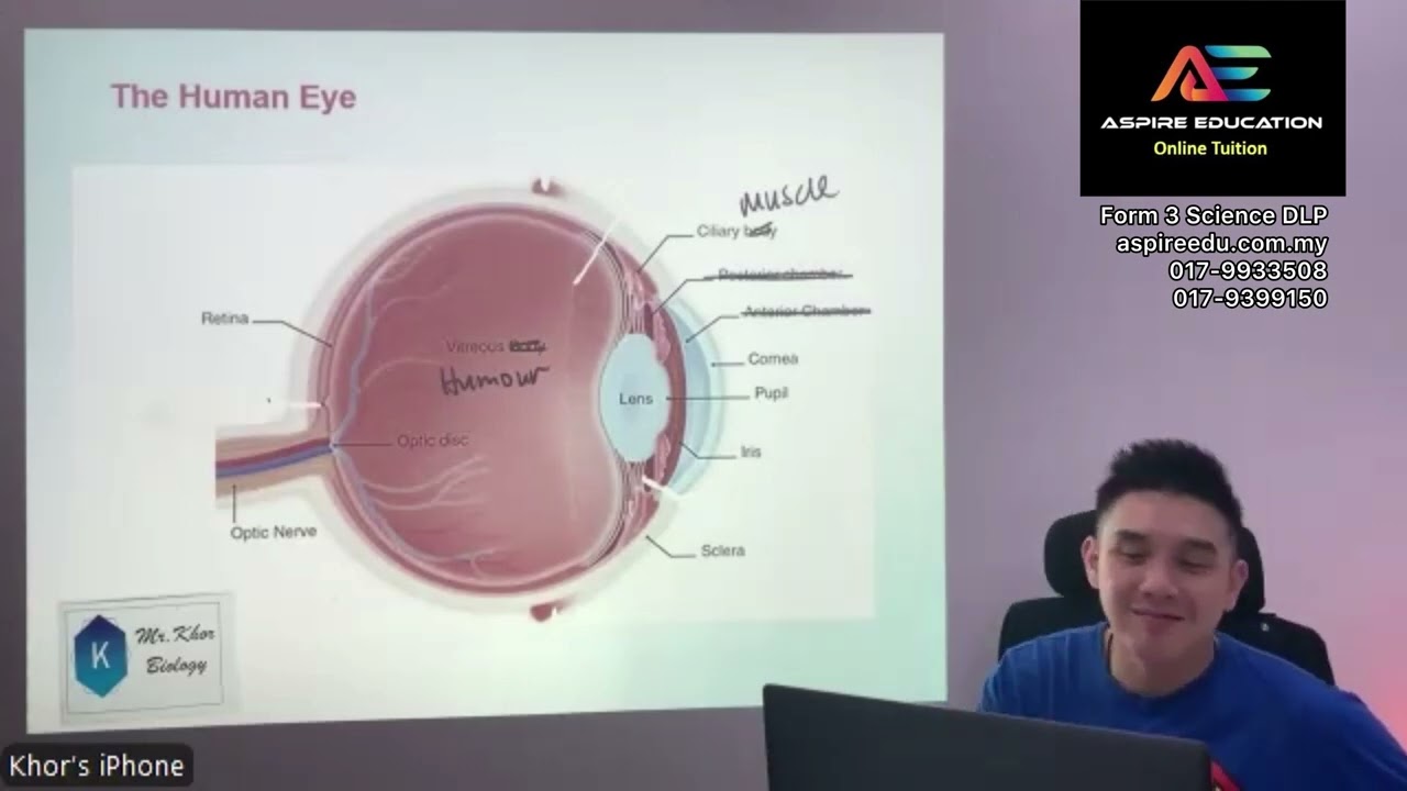 UASA Form 3 Science Chapter 1 Stimuli & Response: Eye Structure & Function