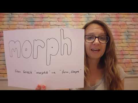 KS2 Word Study: morph