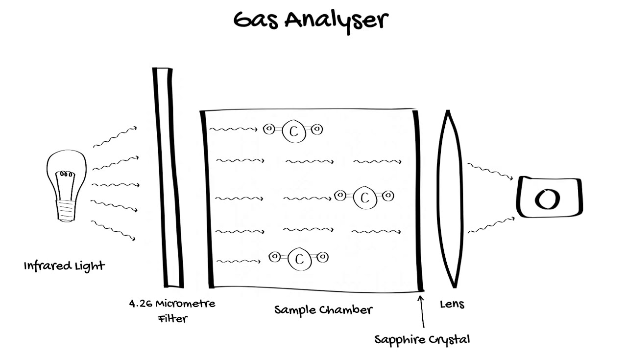 How does Waveform Capnography work?