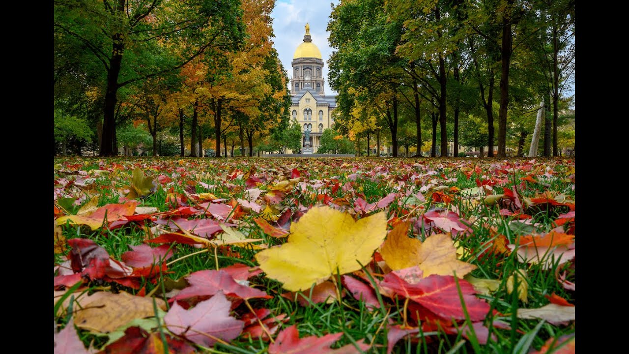 Scenes of Fall 2020