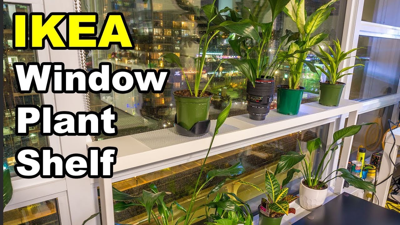 Window Sill Ledge shelf for plants