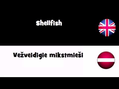 TRANSLATE IN 20 LANGUAGES = Shellfish