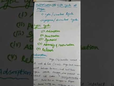 11Biobotany 1 02.07.2020