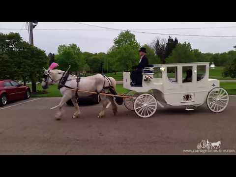 Truly arrive like royalty to your prom! Royal Coach 2