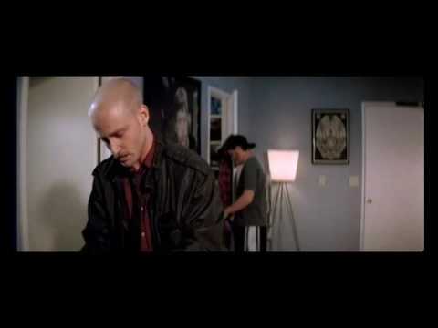 alpha dog