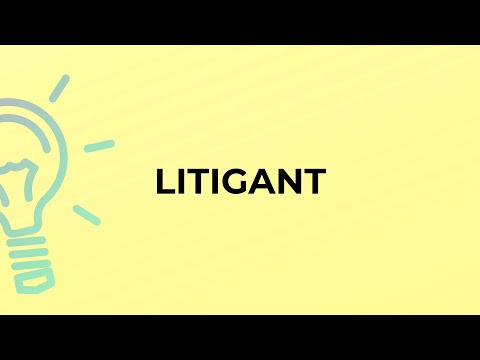 What is the meaning of the word LITIGANT?