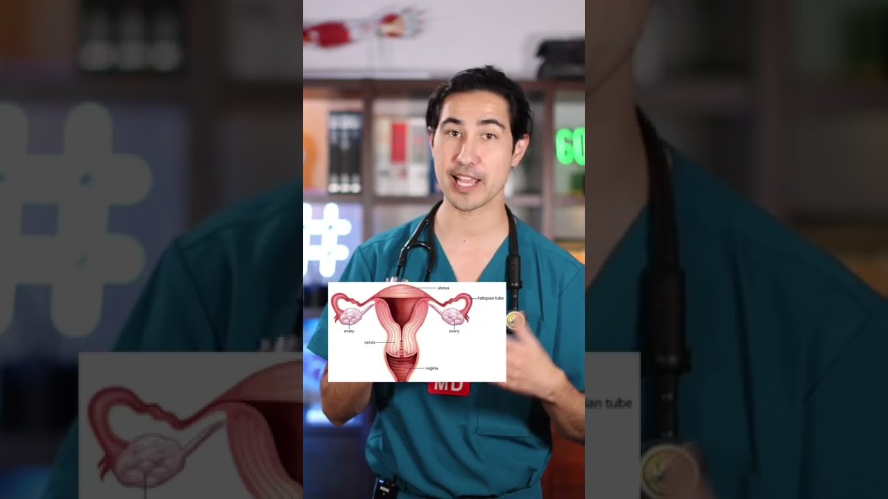 What’s a speculum and how’s it used in a pelvic exam?