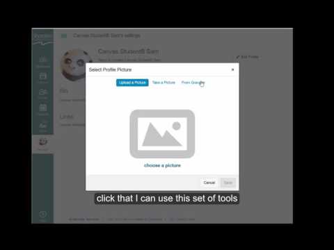 Canvas Overview