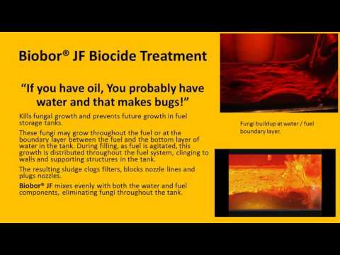 STR-2+ Fuel Conditioner and BioBor JF Biocide