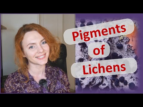 Pigments of lichens: Usnic acid, Vulpinic acid, Sedifolia-grey, Rhodocladonic acid, Parietin...