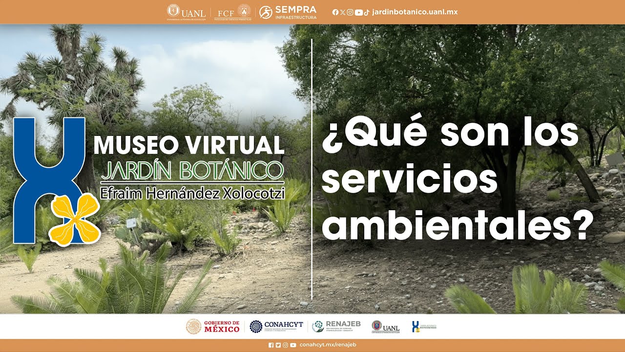 ¿Qué son los servicios ambientales?
