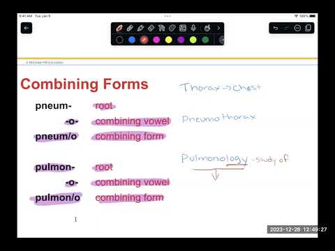 Med Terminology: Ch 1: Anatomy of Medical Terms