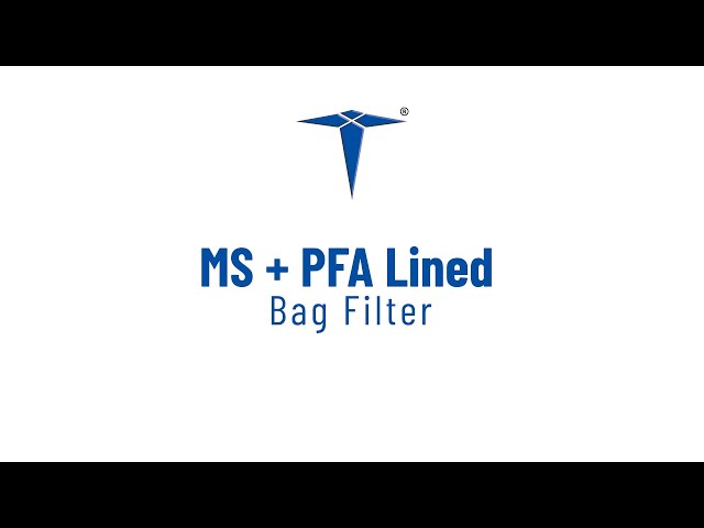 PFA Lined Filter - PFA Lined Duplex Filter Manufacturer from Ahmedabad