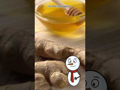 Fun facts of Gingerbread 02 | Education and fun video | Animation| HYL kids #shorts #funfacts
