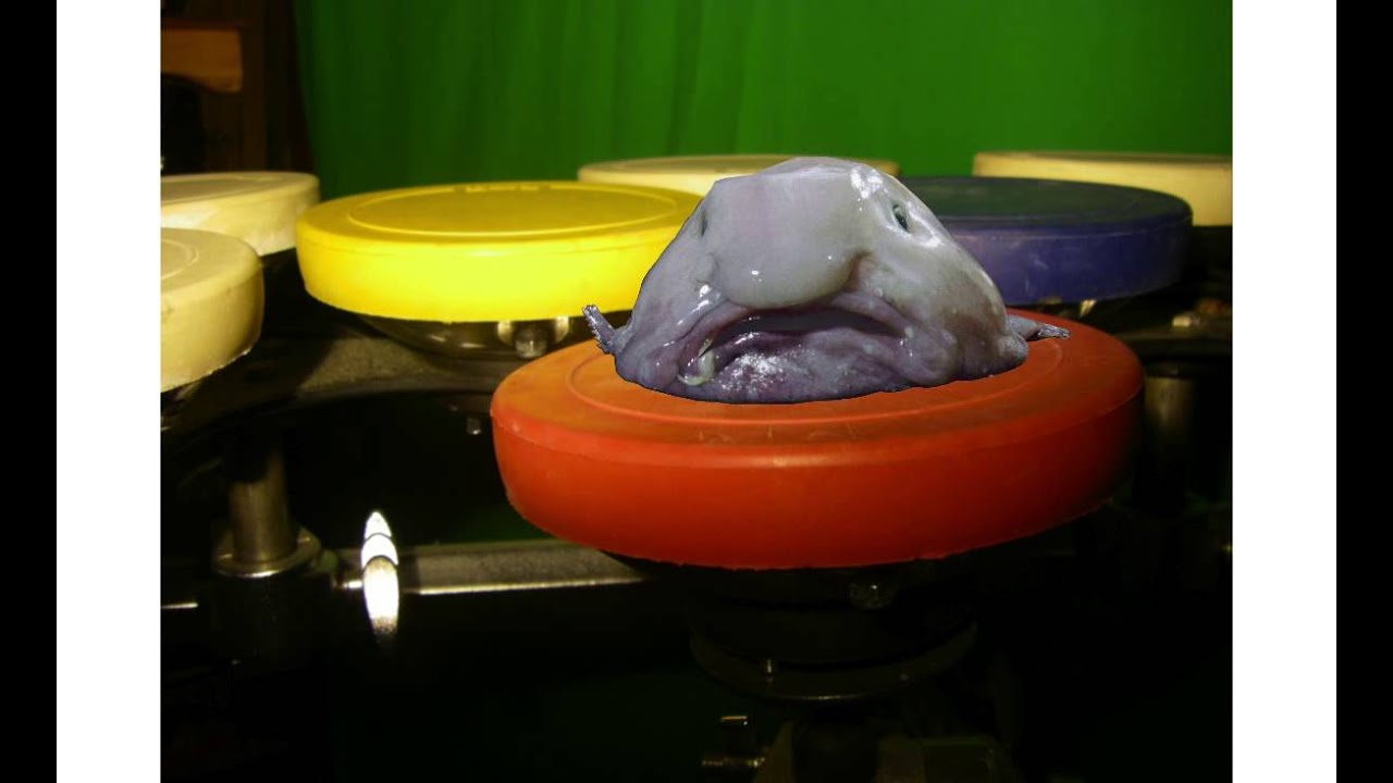 The Blob fish sings