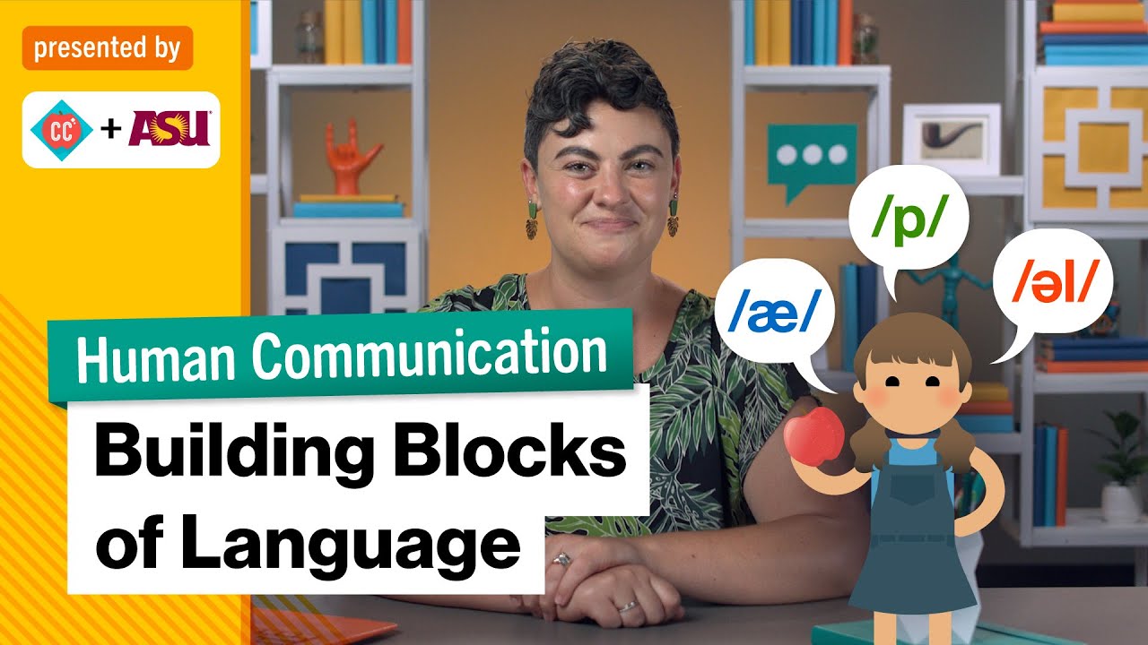 How is Language Built? | Intro to Human Communication | Study Hall