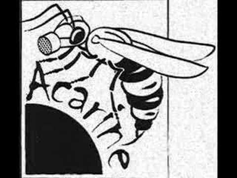 Acarine music, videos, stats, and photos | Last.fm