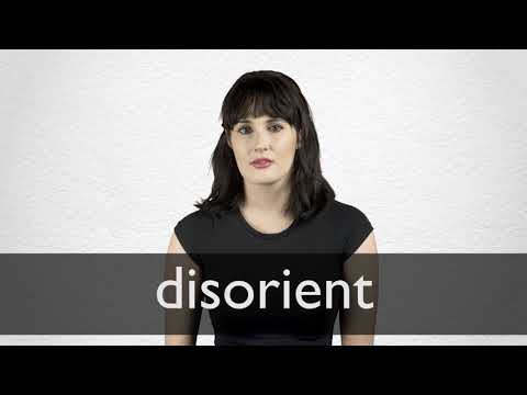 DISORIENT definition and meaning | Collins English Dictionary