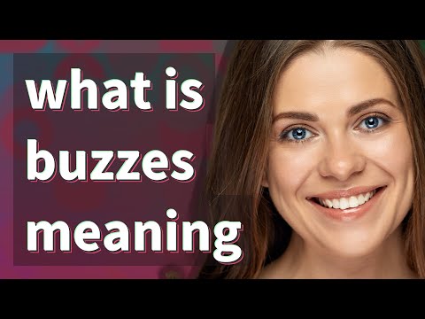 Buzzes | meaning of Buzzes