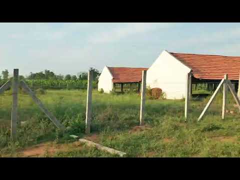2 acre agriculture farm land for sale ph 8971607967.