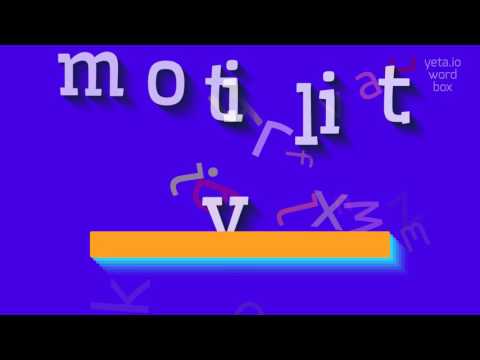 How to say "motility"! (High Quality Voices)