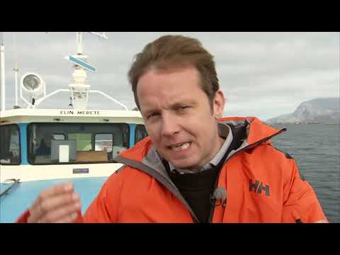 New Scandinavian Cooking - The Holy Fish