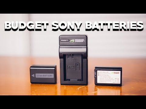 BUDGET SONY A6000 BATTERIES - Review of Wasabi Power Battery 2 Pack and Charger