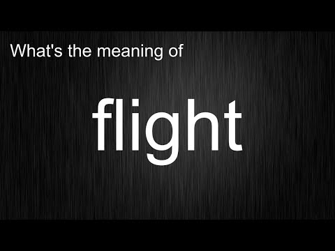 What's the meaning of "flight", How to pronounce flight?