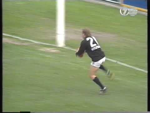 Paul Salmon and Craig Bradley season highlights Carlton/Hawthorn Hawks