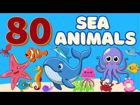80 Amazing Sea Animals for Kids | Ocean Learning Adventure | Educational Video