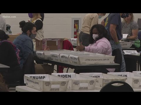 President Trump petitions for recount in Georgia