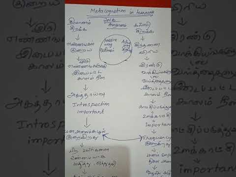 #Meditation Vs Education #Chunk&Think in tamil a peace