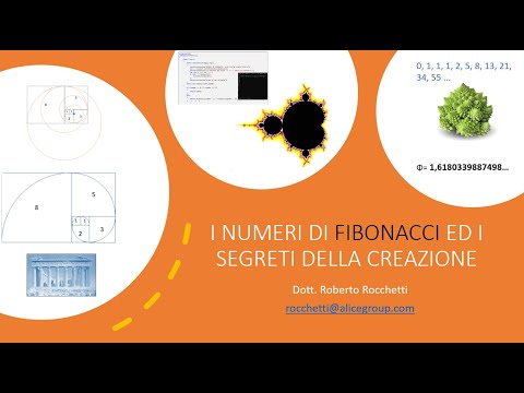 FIBONACCI NUMBERS, FIBONACCI RECURSIVE FUNCTION AND SECRETS