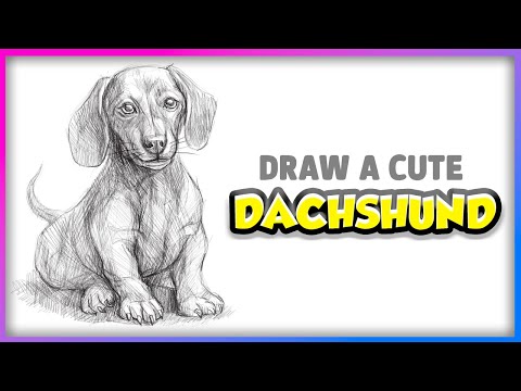 How to Draw a Dachshund Dog 🐶 | Easy Step-by-Step Drawing for Beginners